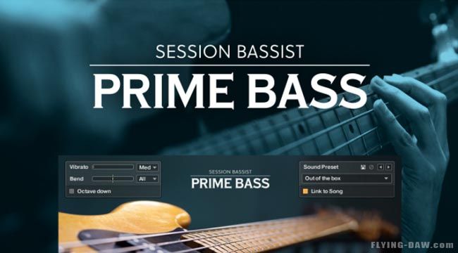 Native Instruments 新贝斯音色 SESSION BASSIST PRIME BASS | Flying-DAW | 飞来音 ...
